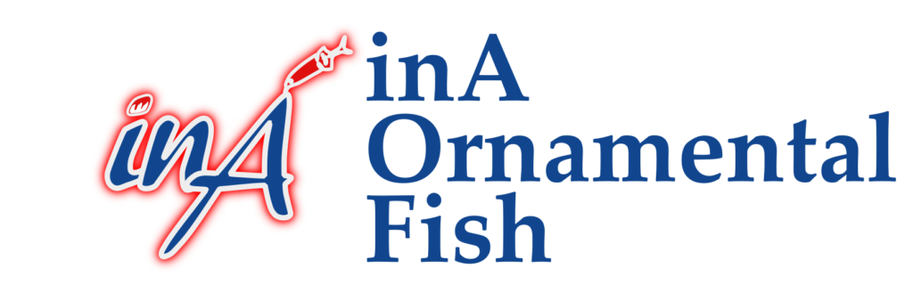 Home - African Aquarium fishes | inA Ornamental Fish